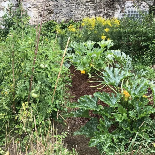 À Laval, c’est quoi ce potager dans le jardin de Beauregard ? - Laval ...
