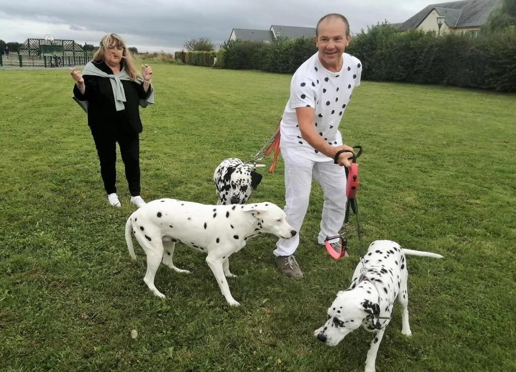 Saint-Contest. Le film Cruella est projeté en plein air samedi - Caen ...