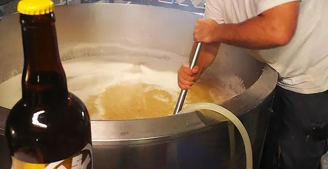 Pléchâtel. Sept brasseurs locaux à la première Fête de la bière ...