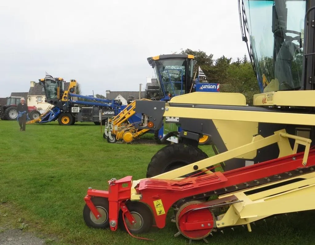 La filière du lin textile semble avoir un avenir prometteur dans le ...