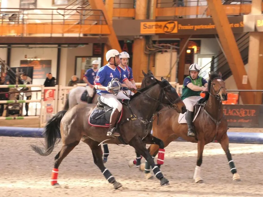 Horse-ball : qu’est-ce que ce sport équestre qui s’invite au Pôle ...