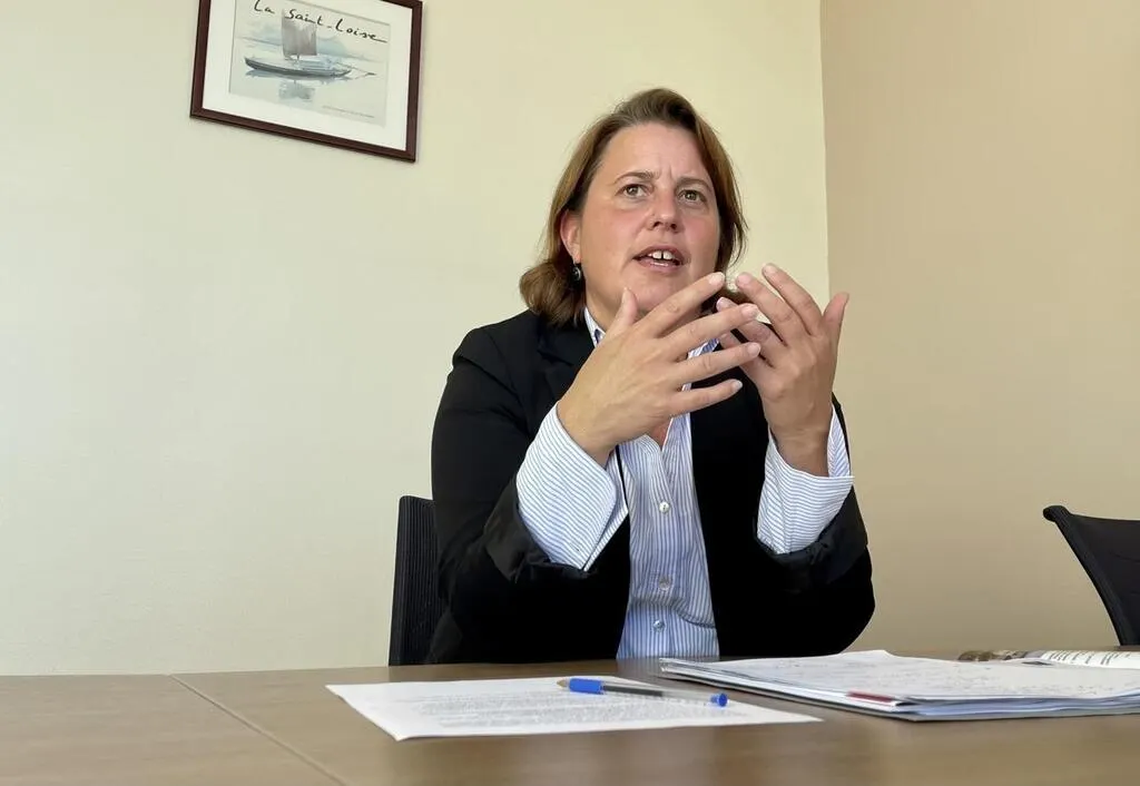 ENTRETIEN. Pour Emmanuelle Lejeune, maire de Saint-Lô, « 2023 est une ...