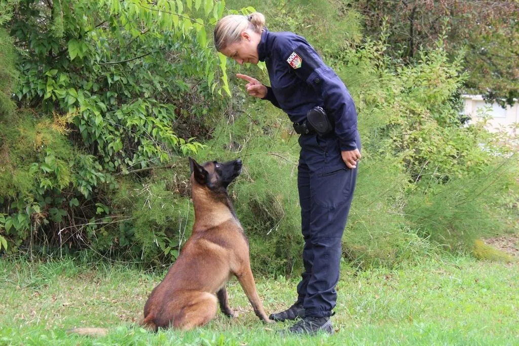 Seule équipe cynophile de la gendarmerie de Sarthe, Céline et Pulaar ...