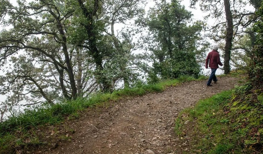 Journée de la marche en Vendée : deux circuits à partir de Bois-de-Céné ...
