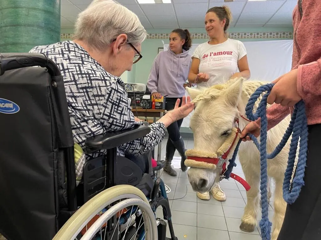 REPORTAGE. Dans cet Ehpad de l’hôpital de Vire Normandie, on pratique l’équithérapie . Sport ...