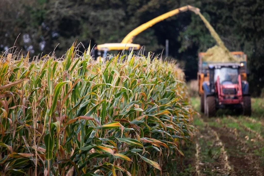 « On ne peut plus compter sur la notion de saison » : les agriculteurs ...