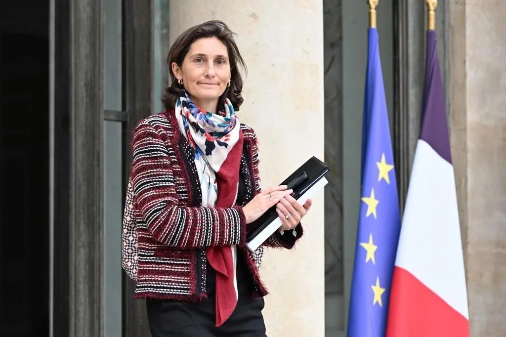 Dysfonctionnements des fédérations sportives. La commission d’enquête ...