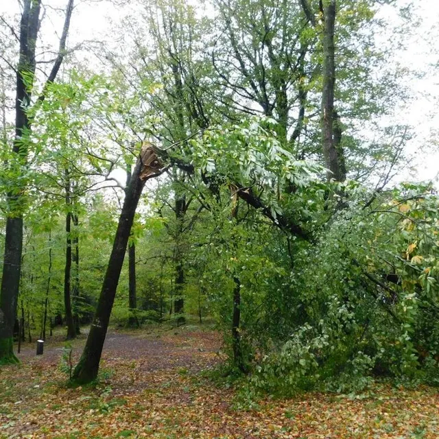 Tempête Ciaran. Les bourrasques et la pluie ont eu peu d’impact dans la ...