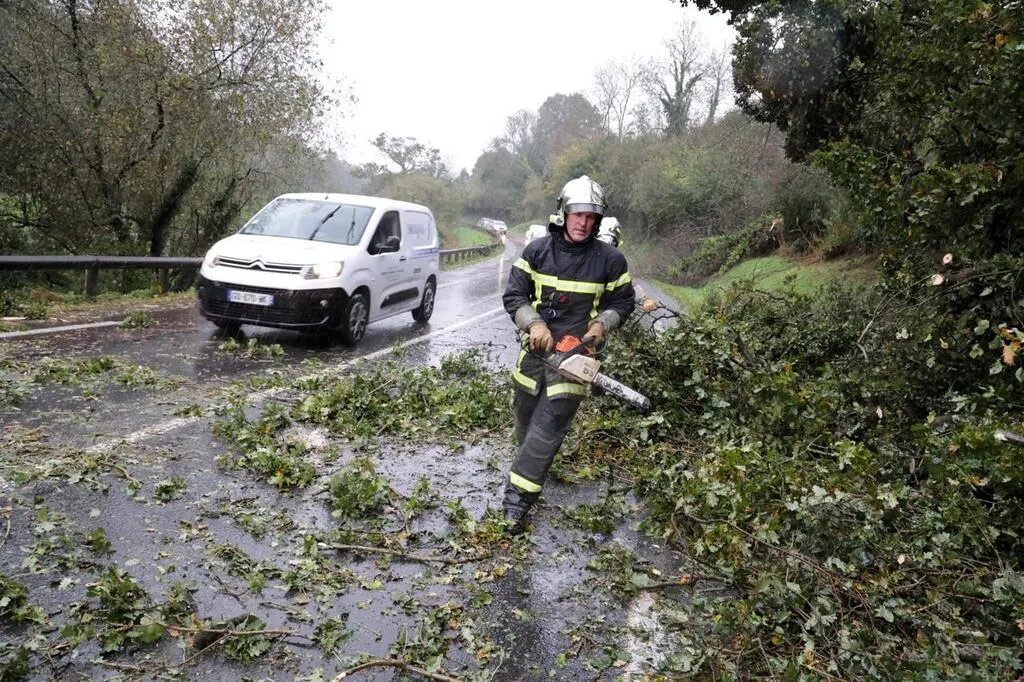 EN IMAGES. Tempête Ciaran : réveil venteux et journée agitée dans le ...