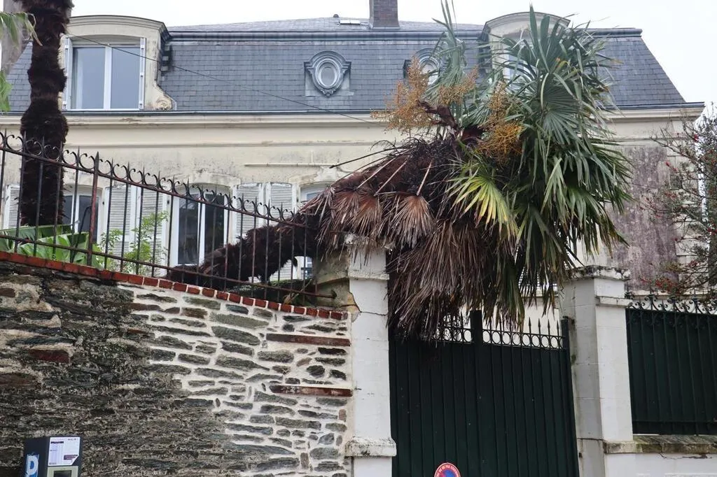 EN IMAGES. Le Nord Cotentin touché de manière inégale par la tempête Ciaran - Cherbourg.maville.com