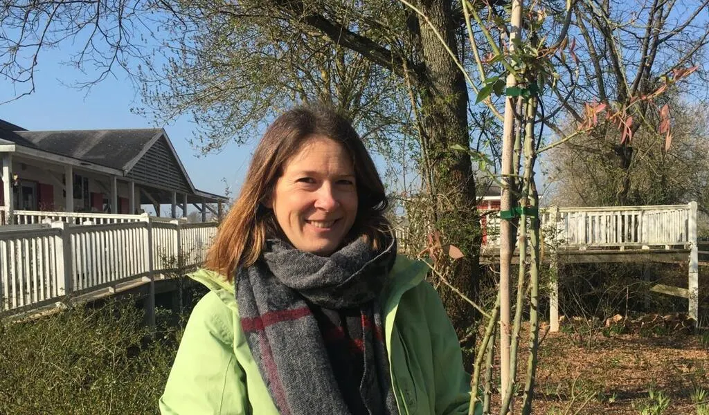 Doué-en-Anjou. La Fête des rosiers d’automne bientôt de retour - Angers ...