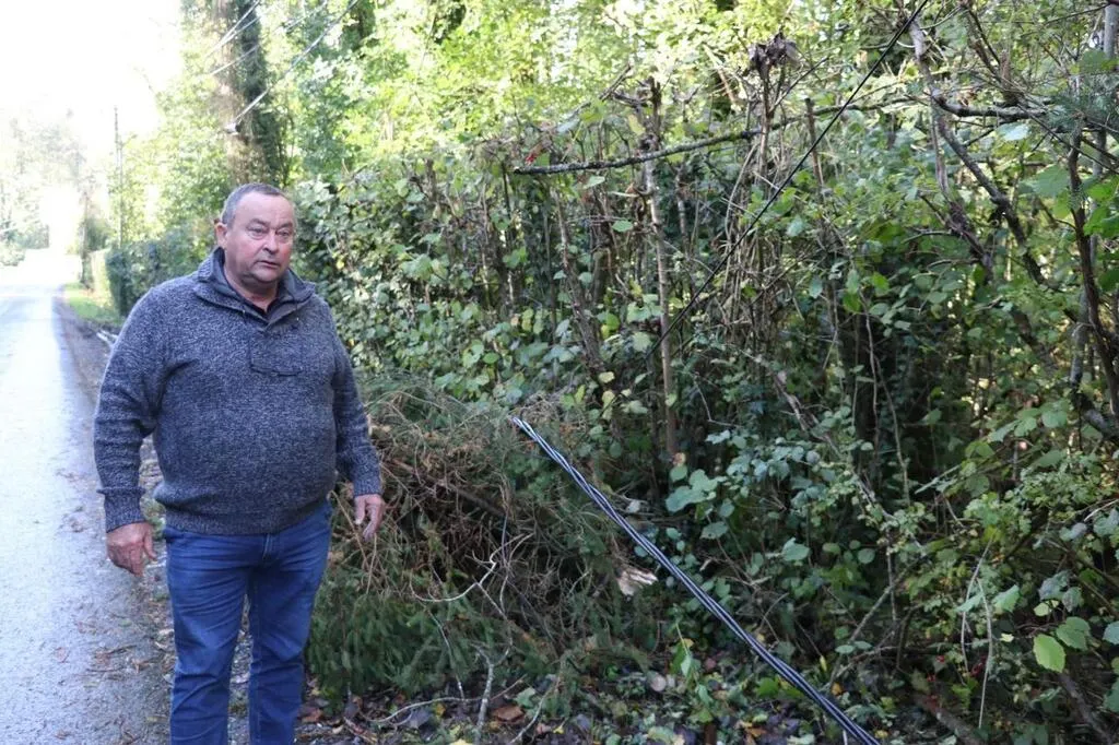 Tempête Ciaran Privé De Courant Ce Maire Demande Aux Propriétaires