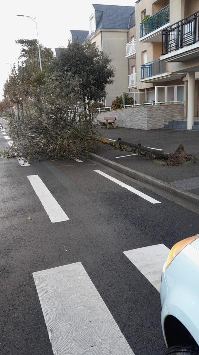 En Images Tempête Domingos Aux Sables Dolonne Quelques Dégâts à La