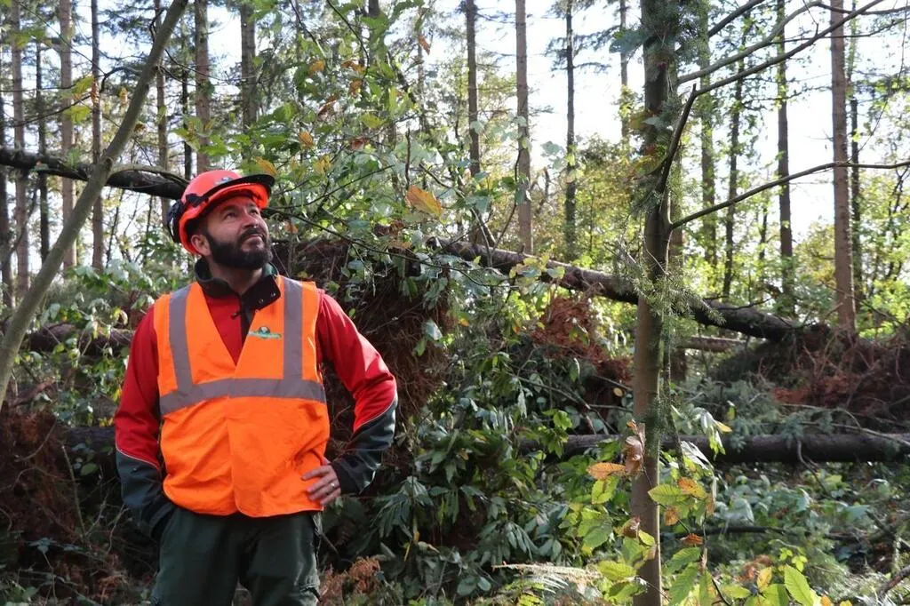 Maine-et-Loire. « Il n’y a qu’une tornade qui peut faire ça, on a des ...