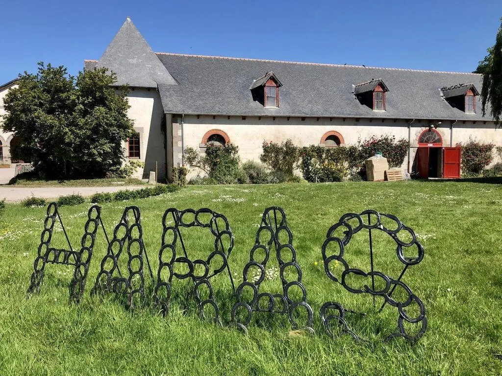 Les trois chevaux du Haras national de Lamballe repris par France ...