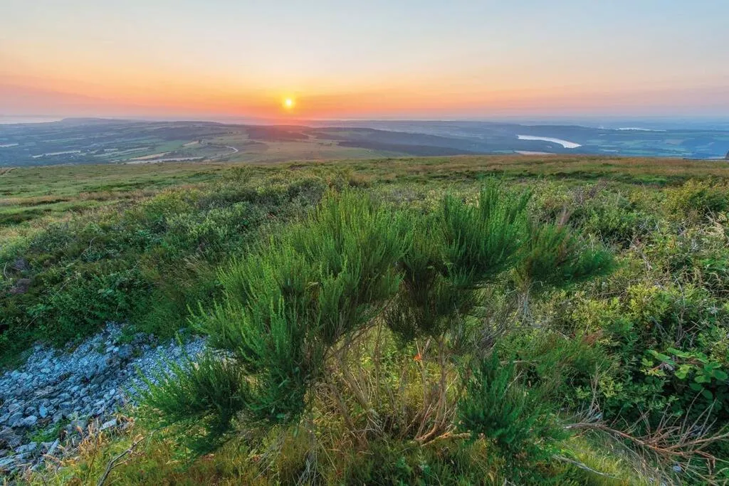 Connaissez-vous la légende du roi aux oreilles de cheval, enterré au ...