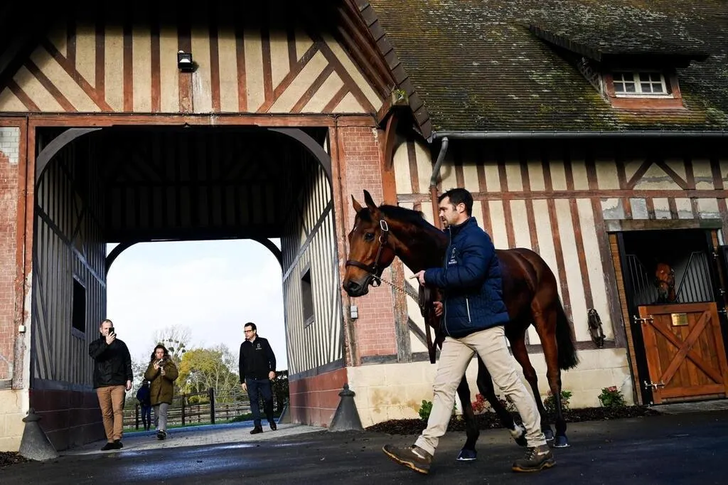 Étalon : le nouveau défi d’Ace Impact, vainqueur du prix de l’Arc de ...