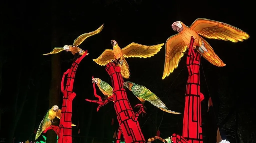 La nuit tombée, les Animaux de lumière illuminent les Terres de Nataé ...