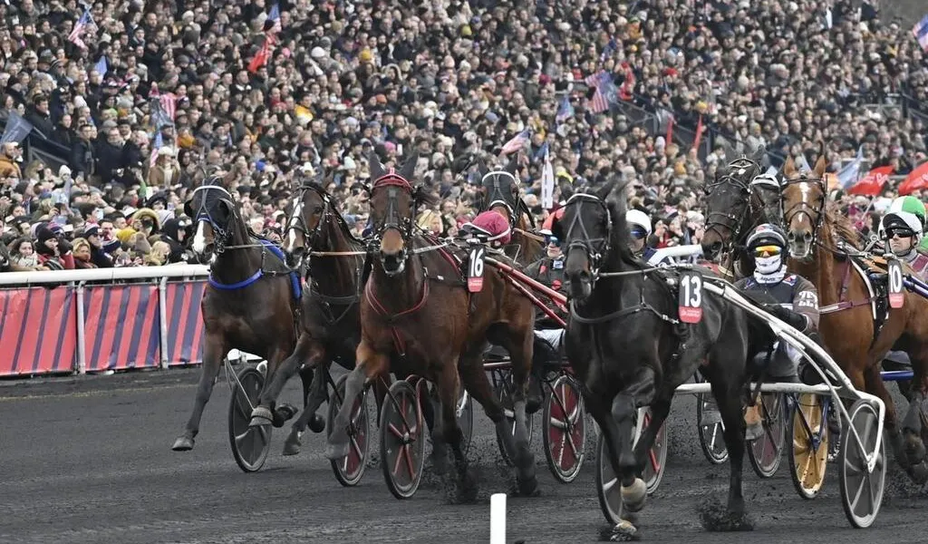 Hippisme. Hussard du Landret remporte le Prix de Bretagne, course ...