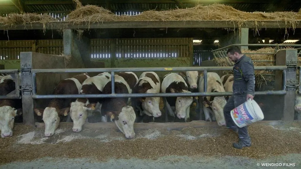 Un éleveur de la Sarthe sur France 3 ce jeudi - Le Mans.maville.com