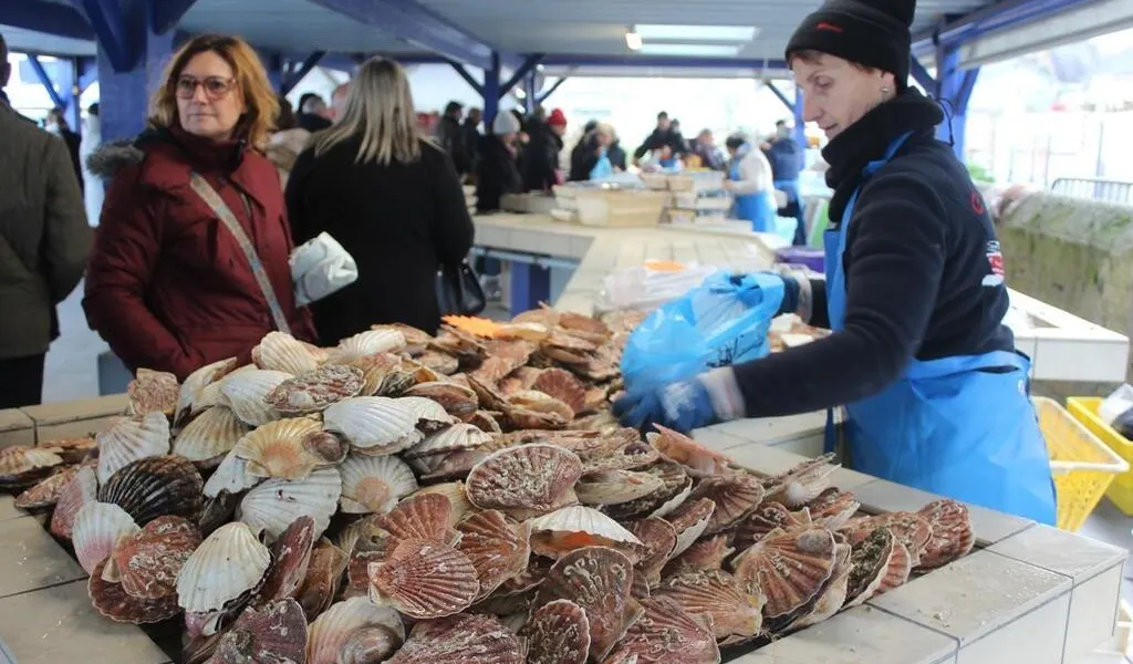 EN IMAGES. À Grandcamp-Maisy, deux jours de fête pour la coquille Saint ...