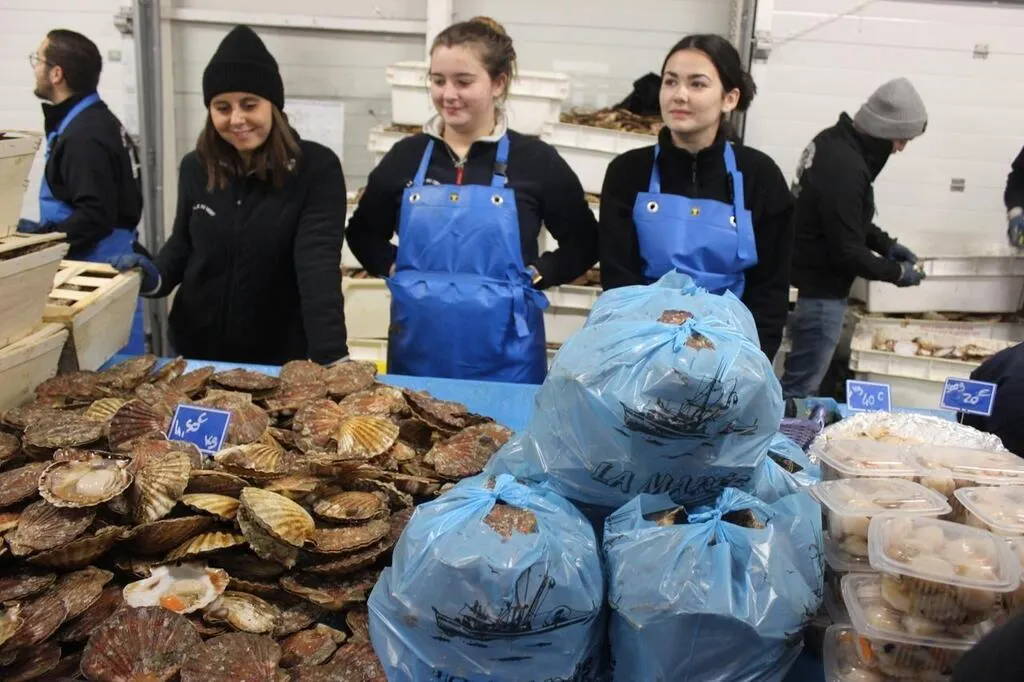 EN IMAGES. À Grandcamp-Maisy, deux jours de fête pour la coquille Saint ...