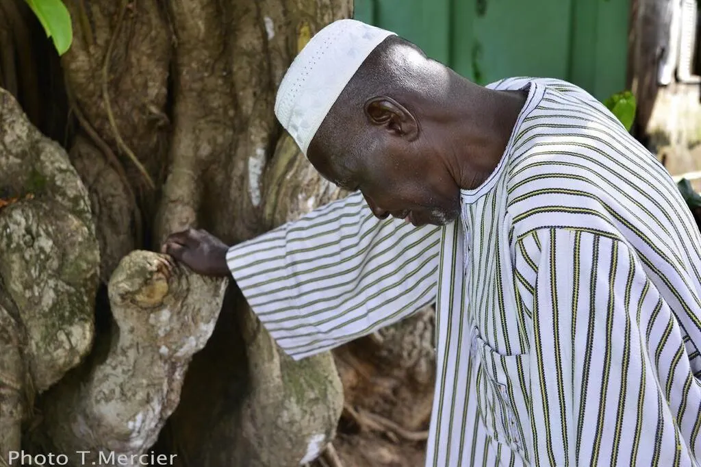 Le Sarthois Damien Deville a écrit l’histoire de l’homme qui arrêta le désert - Le Mans.maville.com