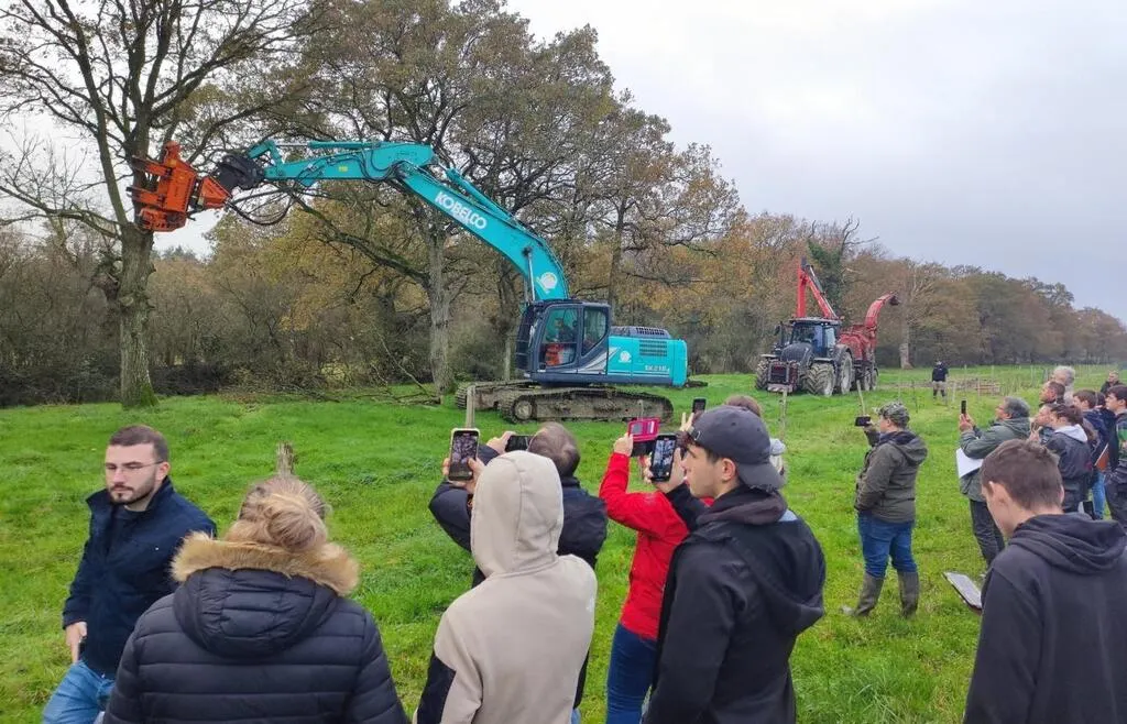 Angrie. Les haies, un enjeu du monde rural - Angers.maville.com