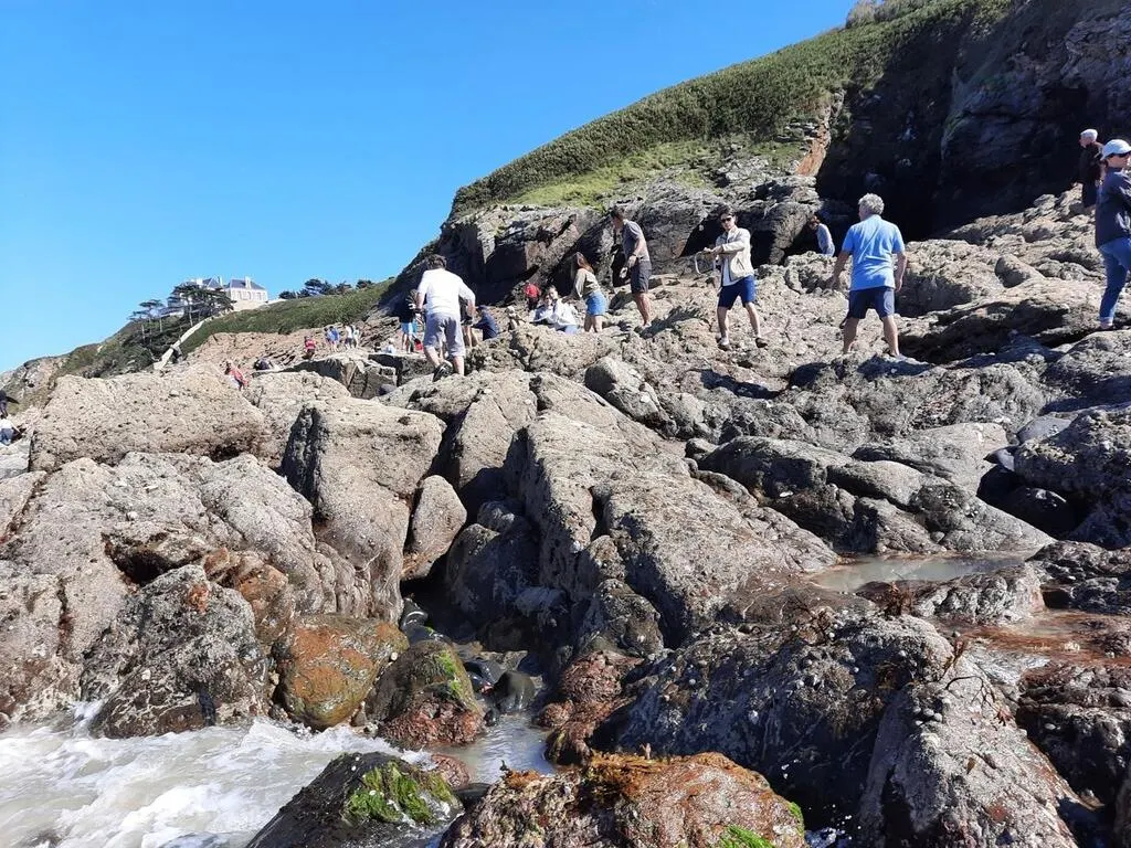 EN IMAGES. Le littoral a été nettoyé avec un hélicoptère à Saint ...