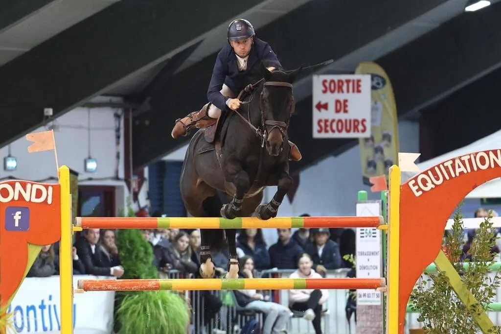 Équitation. Concours de saut d’obstacles national : Nicolas Sers, en ...