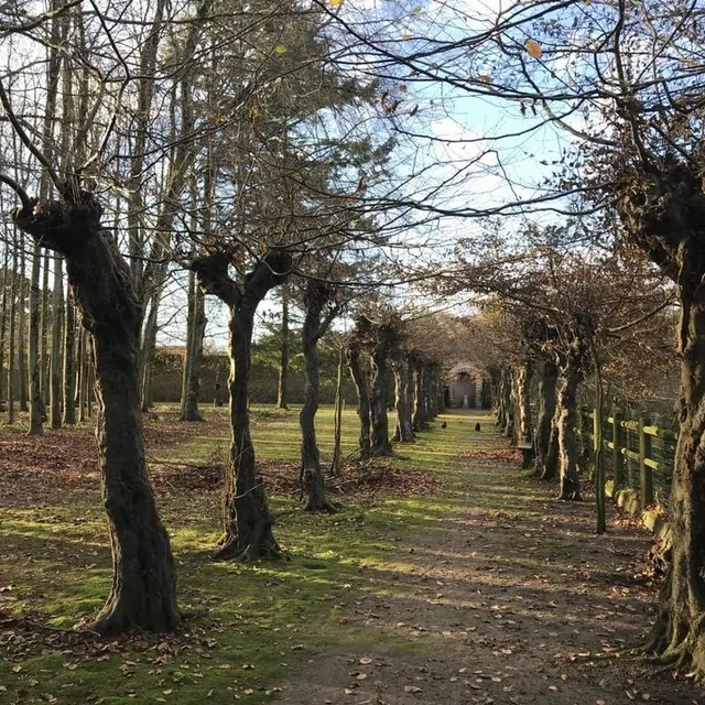 Un nouveau cheminement piéton à Machecoul-Saint-Même - Saint-Nazaire ...