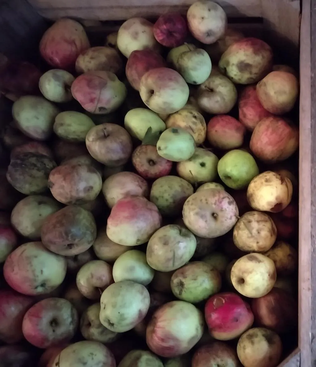 Sens-de-Bretagne. Week-end de ramaougerie au café Brocoli - Vitré ...