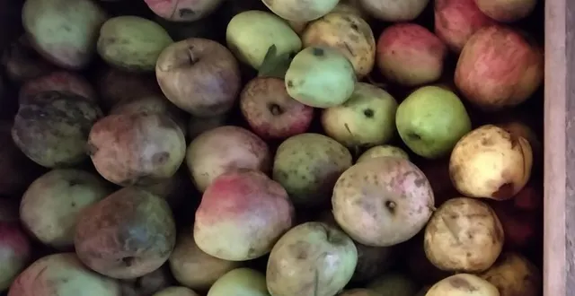 Sens-de-Bretagne. Week-end de ramaougerie au café Brocoli - Vitré ...