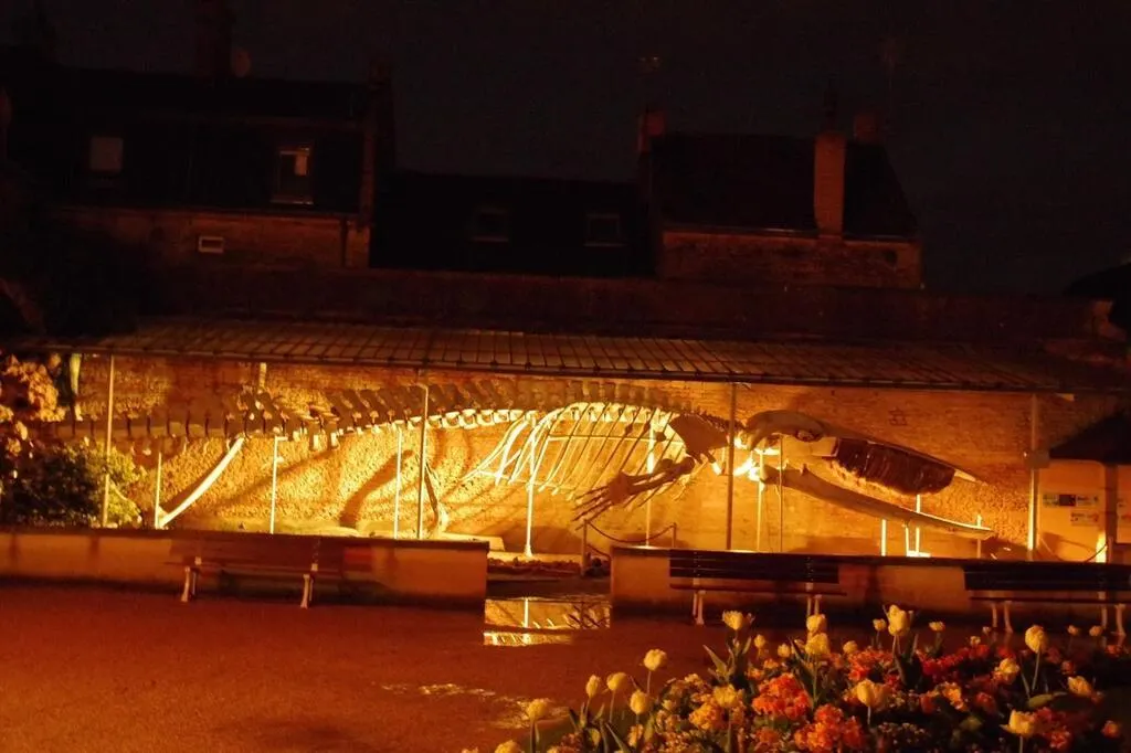 Luc-sur-Mer en lumière revient pour trois soirées féeriques de Noël ...