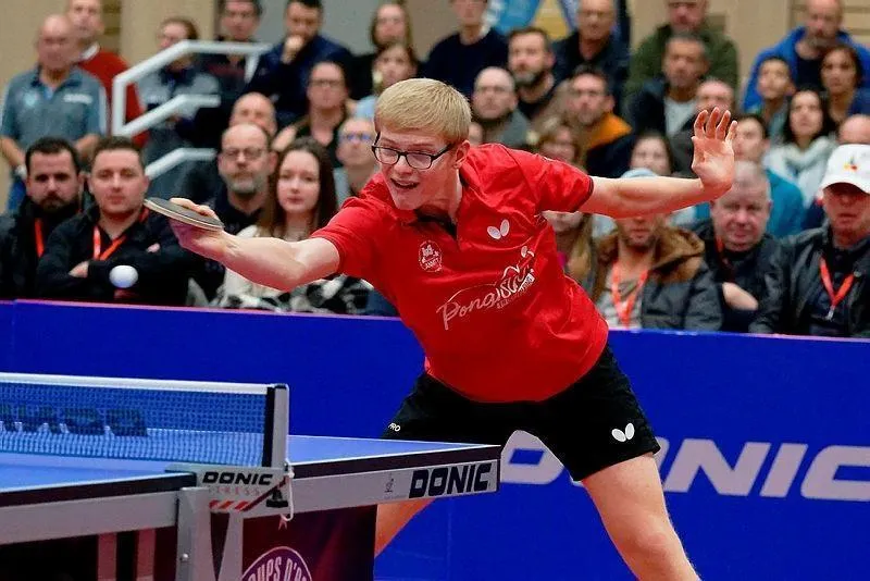 Tennis de table. La France et les frères Lebrun balayés par le Japon ...