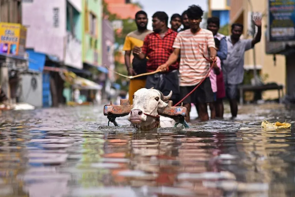 EN IMAGES. Des inondations impressionnantes frappent l’est de l’Inde ...