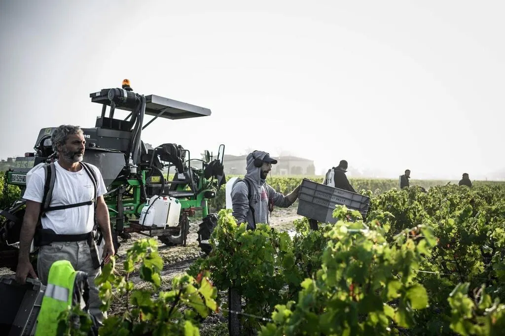 L’intelligence artificielle sait désormais reconnaître les grands vins ...