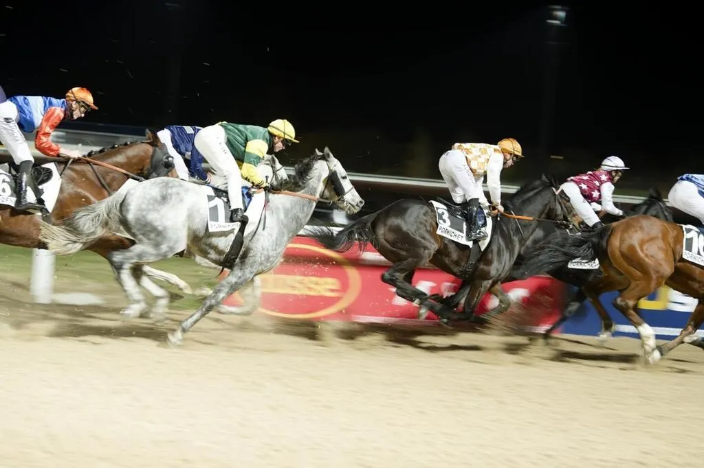 Saint-Nazaire - Pornichet. La crack-jockey Marie Velon sur la piste en ...