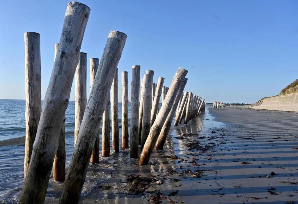 REPORTAGE. À Noirmoutier, balade à la découverte de la pointe du Devin ...