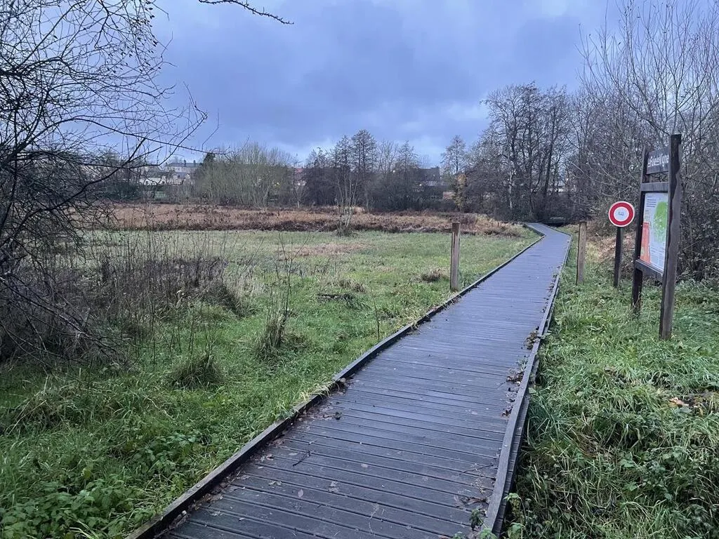 Voirie, plan vélo, projet à la Fuie des Vignes : la Ville va investir ...