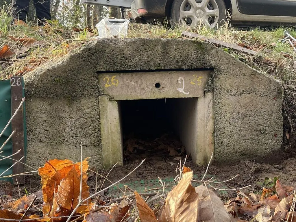 EN IMAGES. Un crapauduc, tunnel pour protéger les amphibiens, installé ...