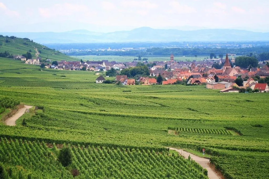 La route des vins d’Alsace, un road trip inoubliable à travers sept ...