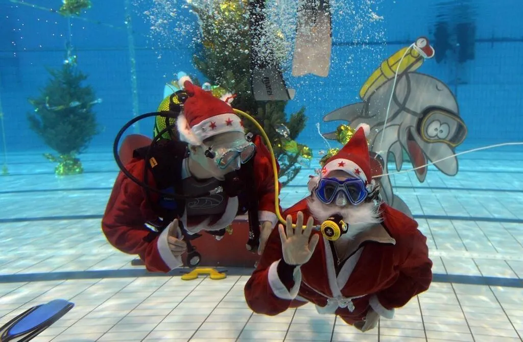 Noël à Angers. Le programme des animations de Soleils d’hiver du ...