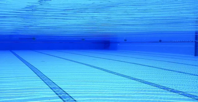 JO 2024 : les bassins du Centre aquatique olympique ont été remplis ...