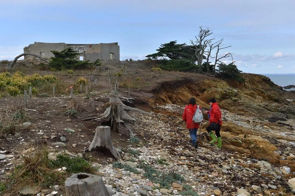 Piriac-sur-Mer. Pourra-t-on toujours débarquer sur l’île Dumet ...