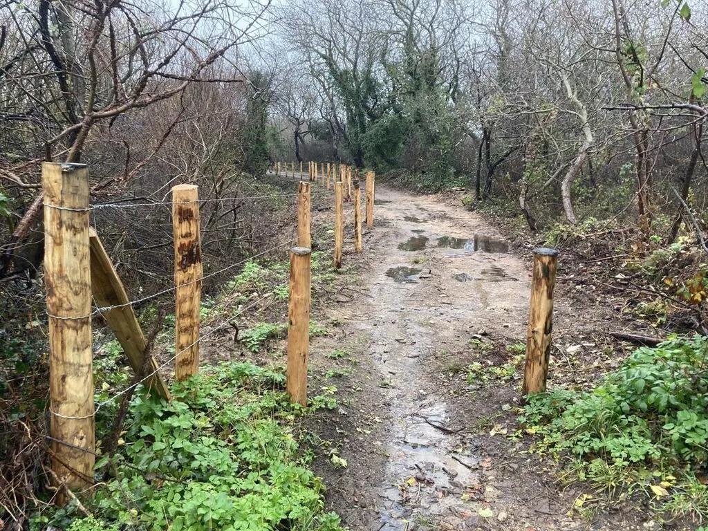 Aux Sables-d’Olonne, des travaux de restauration écologique à la mare ...