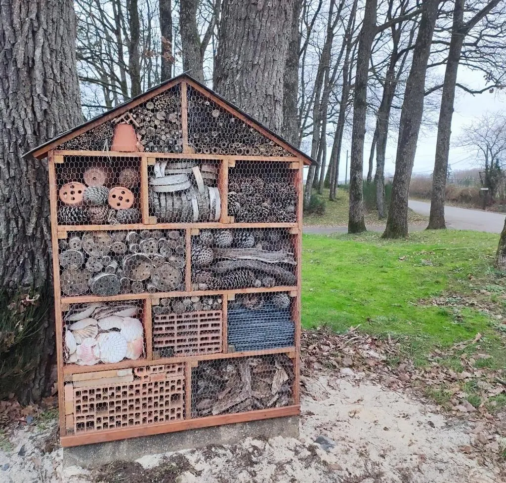 Angrie. Les insectes ont désormais leur hôtel - Angers.maville.com