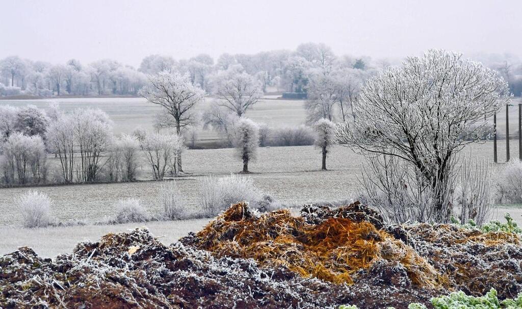 Météo Une Vague De Froid à Partir Du Dimanche 7 Janvier Fougères
