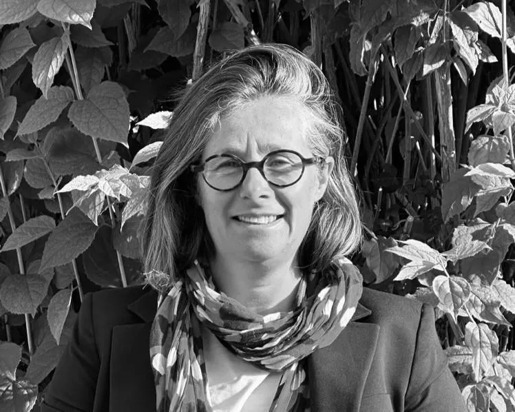 Une nouvelle agence immobilière à Landerneau - Quimper.maville.com