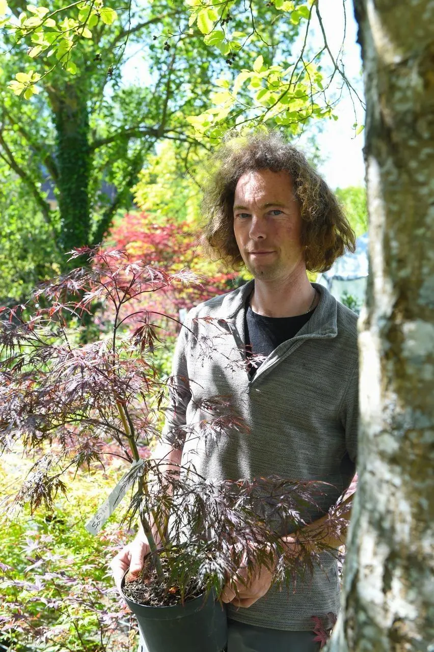 RENCONTRE. « Une plante gracieuse, reposante » : Charles Lapierre, l ...